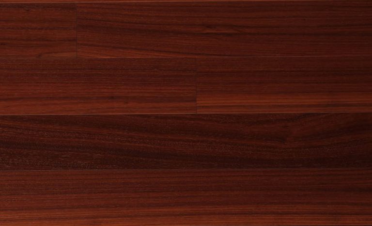 AFRICAN DOUSSIE - Casa Bella