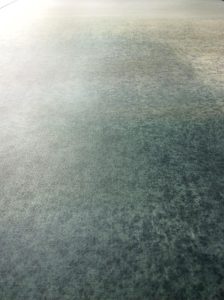 COLOR BALLET - Casa Bella